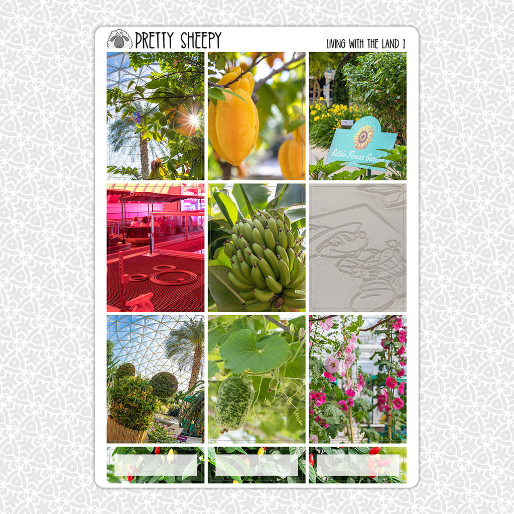 Living with the Land Photos Full Box Stickers – Pretty Sheepy